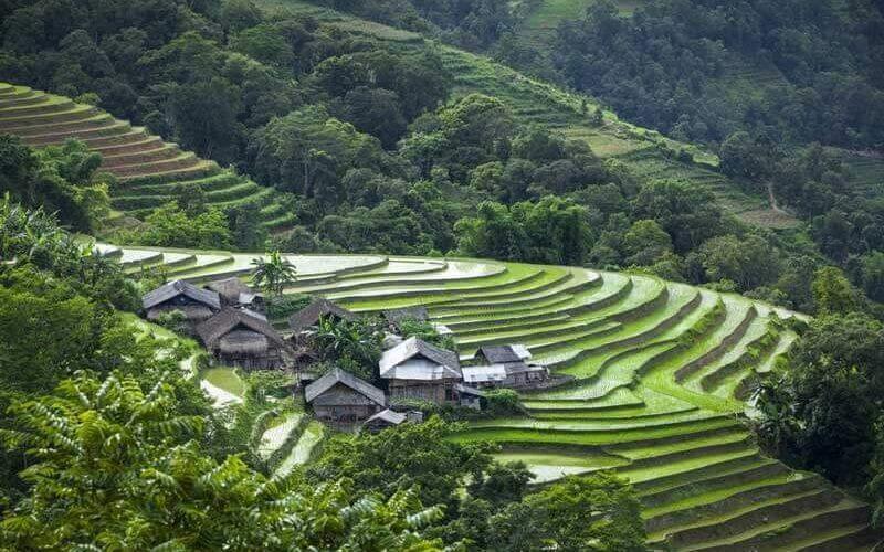 Quand visiter les rizières en terrasses du Nord Vietnam ? – 360 Indochine